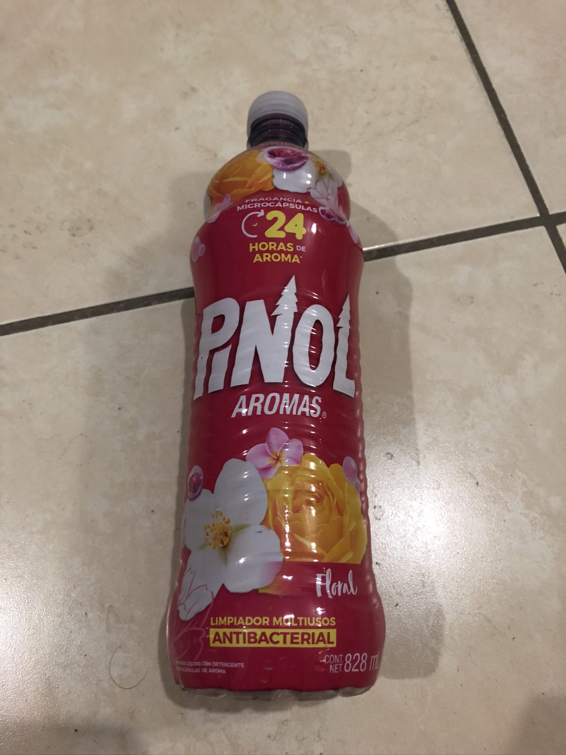 Mexican_cleaning-07 | 駐在員のブログ！！！ Expatriate employee blog！！！